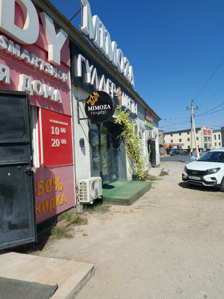 Araç bakım malzemeleri Auto Parts Store, Kızılorda, foto