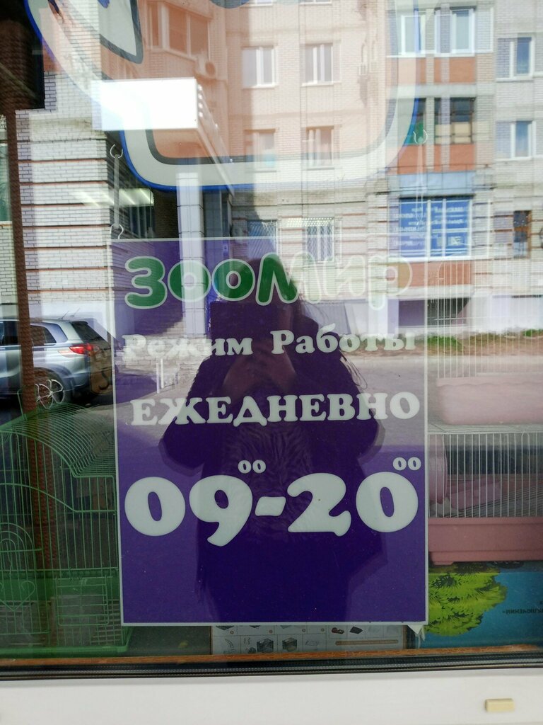 Petshop Zoomir33, Vladimir, foto