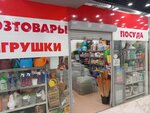 Магазин хозяйственных товаров (Rizhskiy Avenue No:16), ev temizlik ürünleri  Pskov'dan