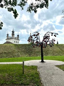 парк Молодожёнов (Vladimir Region, Yuryev-Polskiy, Skver u pamyatnika Yuriyu Dolgorukomu), kültür ve eğlence parkları  Yuryev‑Polski'den