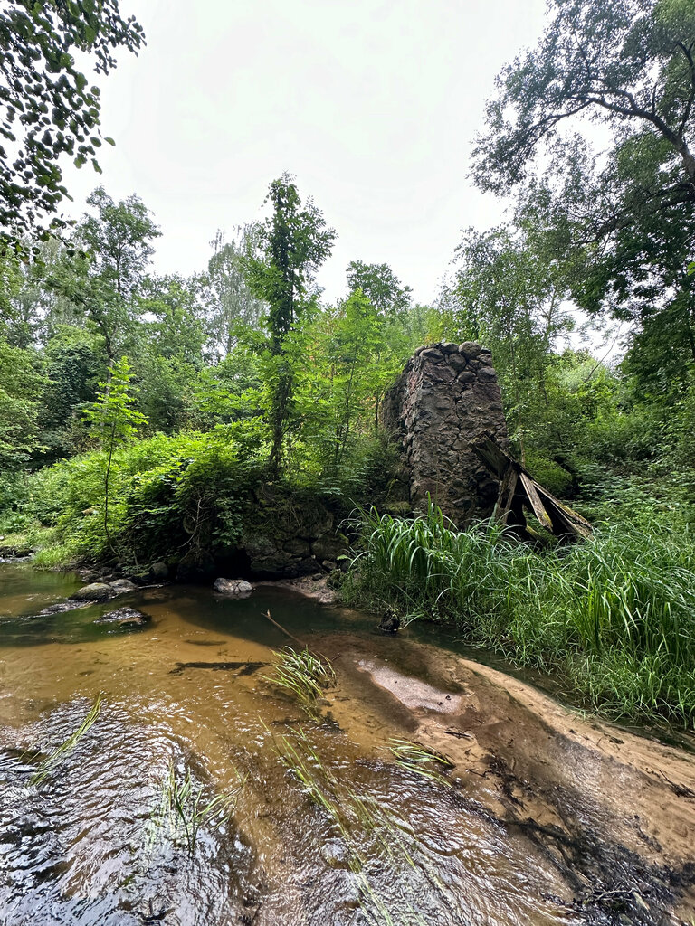 Tarımsal altyapı Водяная мельница, Vitebskaya oblastı, foto