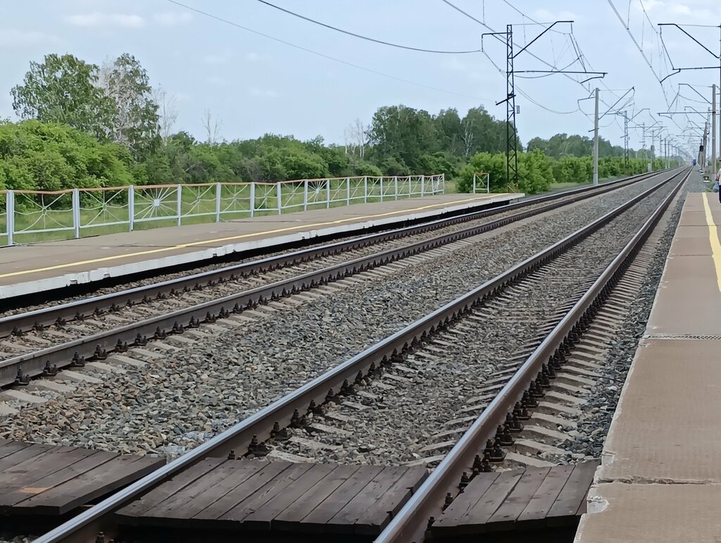 Tren istasyonu остановочный пункт Фёдоровка, Omskaya oblastı, foto