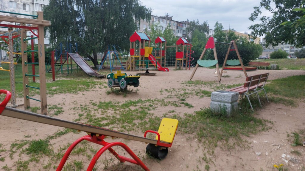 Oyun alanı Playground, Riazanskaya oblastı, foto