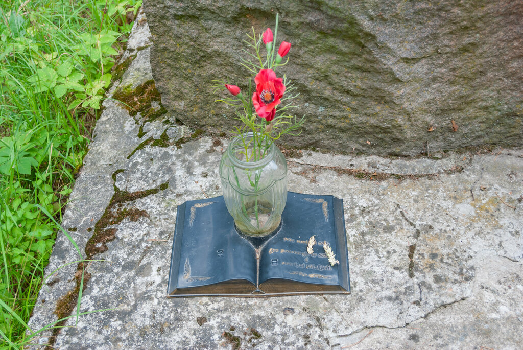 Anıt levhası, anıt taş Мемориальный камень Т. Рейтану, Brestskaya oblastı, foto