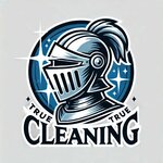 True True Cleaning (Mikheyeva Street No:23), temizlik şirketleri  Tula'dan