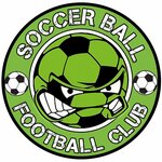 Soccer Ball (Norilskaya Street No:1), spor okulları  Nijni Novgorod'dan