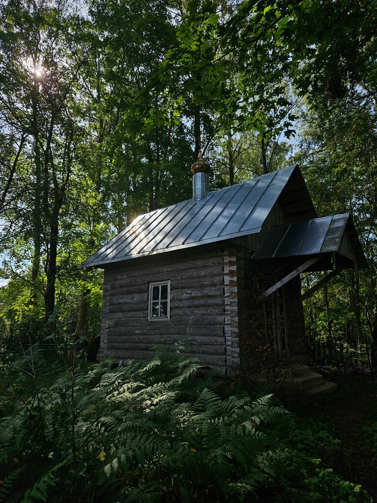 Anıt, heykel Могила партизанки, Pskovskaya oblastı, foto