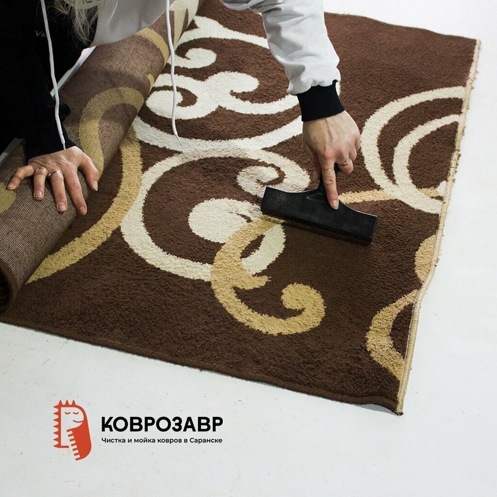 Halı yıkamacılar Kovrozavr, Mordovya, foto