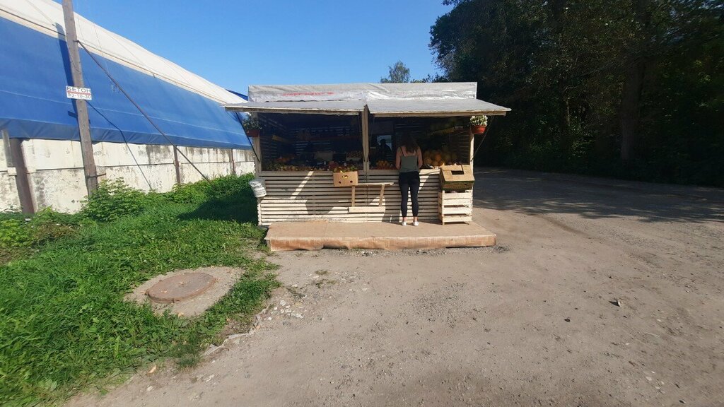 Manavlar Магазин овощей и фруктов, İvanovo, foto