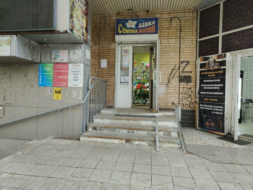 Tohum satan yerler Семена жизни, Balaşiha, foto