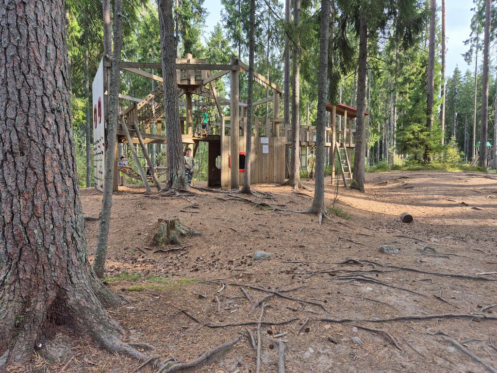 Oyun alanı Playground, Saint‑Petersburg ve Leningradskaya oblastı, foto