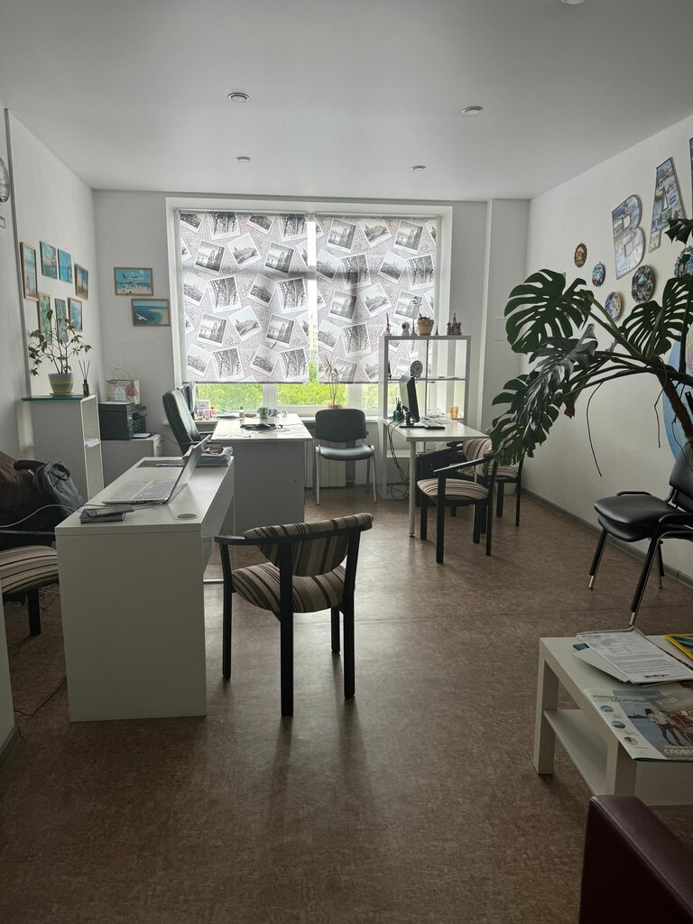 Tercüme büroları LingvoStars, Çeliabinsk, foto
