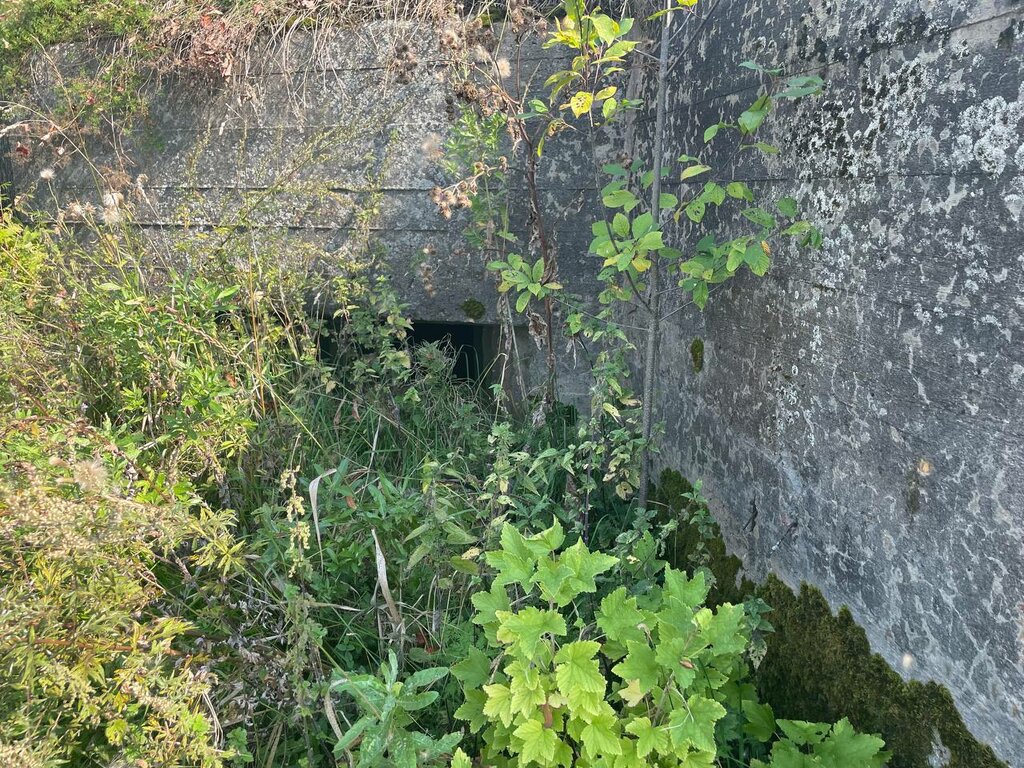 Unutulmaz olayların yeri Ржевский УР времен Великой Отечественной войны. Долговременная огневая точка, Tverskaya oblastı, foto