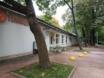 Алхимик движения (No:4Е, Yelagin Island), spor kulüpleri  Saint‑Petersburg'dan