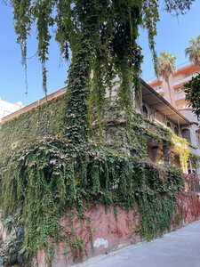 Nacar Evi (Mersin, Akdeniz, Atatürk Cad., 50), turistik yerler  Mersin'den