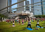 Jay Pritzker Pavilion (East Randolph Street No:201), konser salonları  Chicago'dan