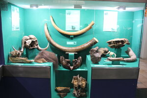 Norilsk Museum (Leninskiy Avenue No:14), müzeler ve sanat galerileri  Norilsk'ten