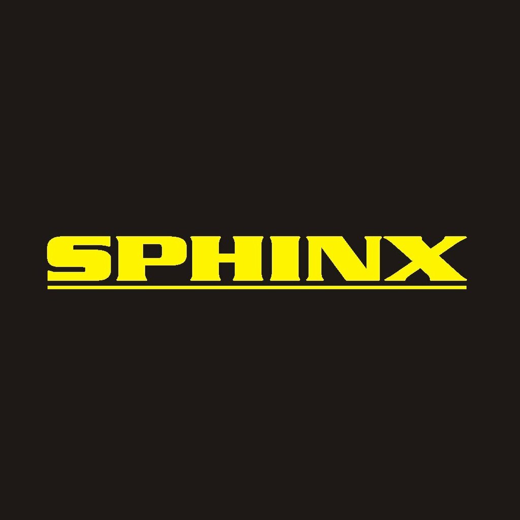 Metal dedektörü Sphinx Inc, Moskova, foto