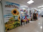 Подсолнух (Lenina Avenue No:66), tohum satan yerler  Surgut'tan