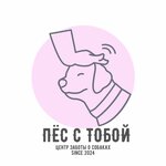 Пёс с Тобой (Opalikhinskaya Street No:31), evcil hayvan kuaförleri  Yekaterinburg'dan