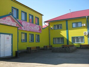Kameliya (Zavodskaya ulitsa No:18Б), otel  Nikolsk'tan