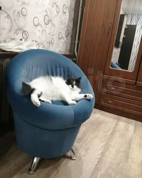 Yatak üreticileri Сон Сервис, Nijni Novgorod, foto