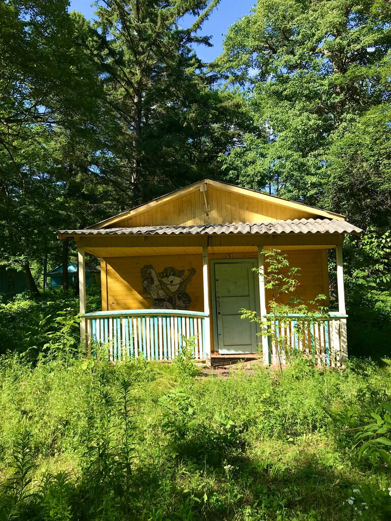 Yaz kampı Юность, Primoriye, foto