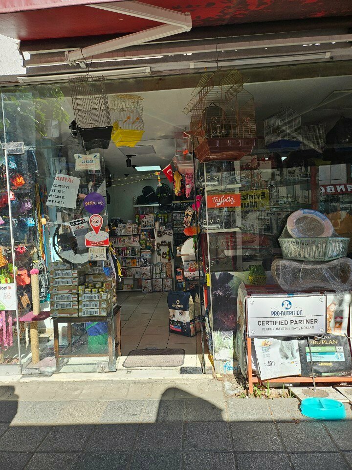 Petshop İstiklal Petshop, İstanbul, foto