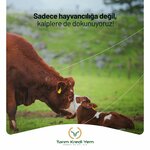 Tarım Kredi (Ankara, Çankaya, Söğütözü Mah., 2185. Cad., 10), yönetim ofisi  Ankara'dan