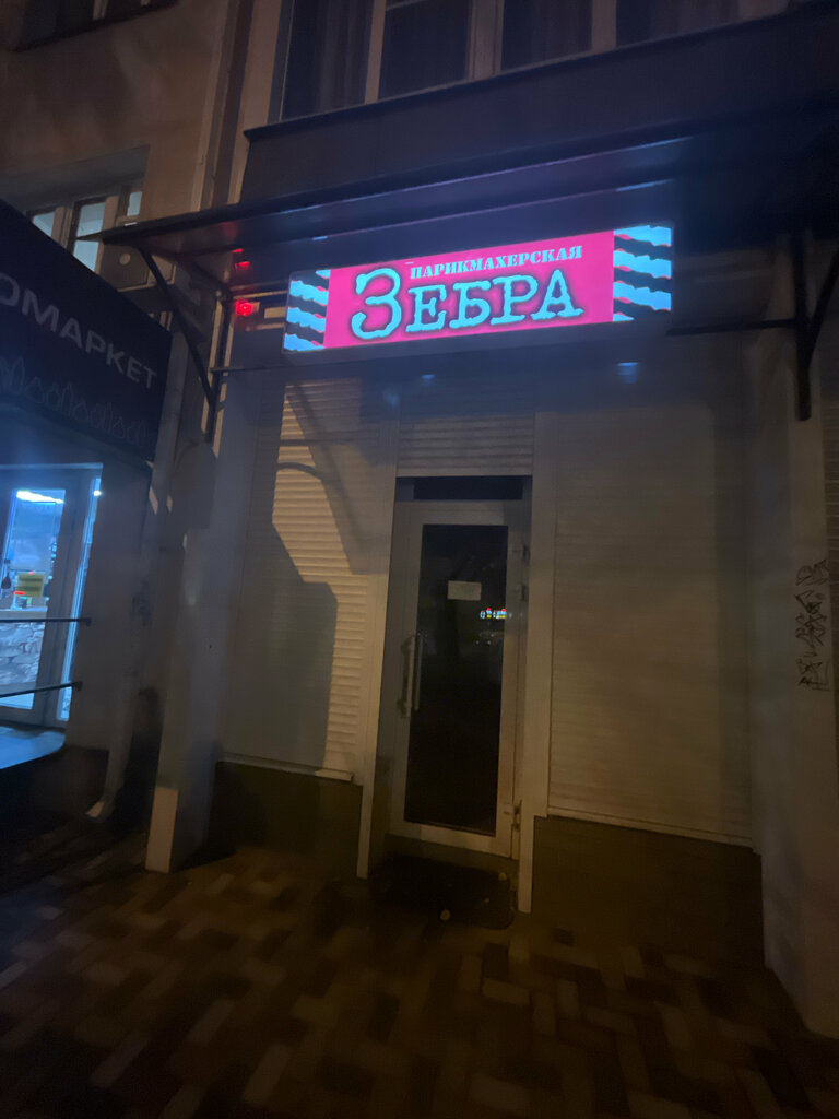 Kuaförler Zebra, Stavropol, foto