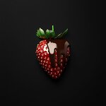 Endorphin (Atarbekova Street No:30/1, Festivalny mikrorayon), çiçek teslimatı  Krasnodar'dan