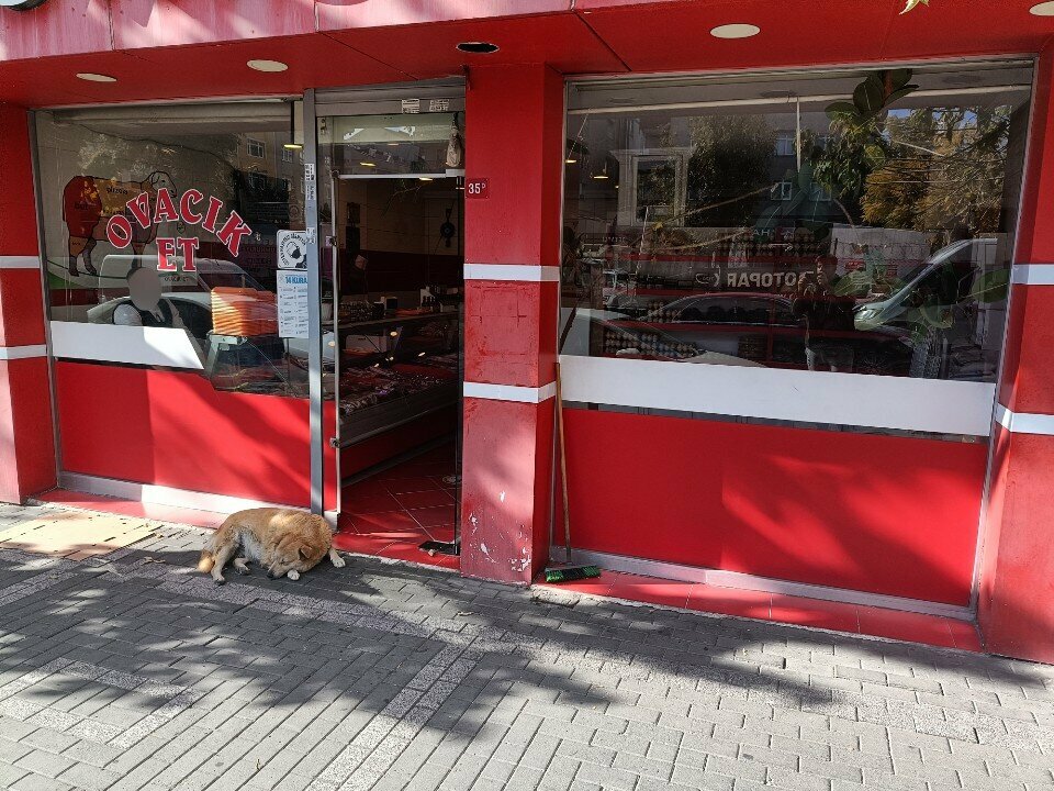Kasap, şarküteri Ovacık, İstanbul, foto