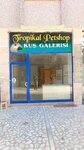 Tropikal Petshop (Konya, Selçuklu, Yazır Mah., Beyazkaranfil Sok., 7), petshop  Konya'dan