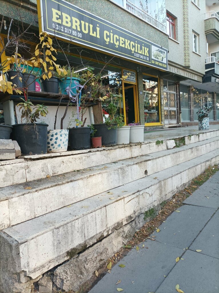 Çiçekçiler Ebruli Çiçekçilik, Ankara, foto