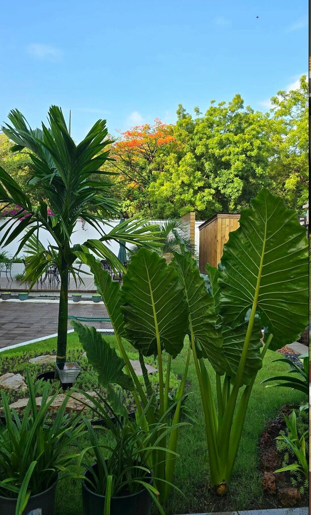 Otel Quatre Saisons Hôtel, Bangui, foto