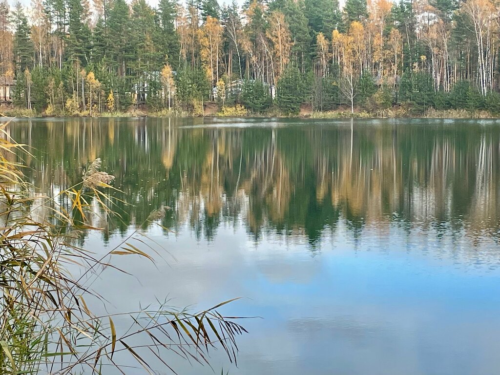 Bahçecilik dernekleri ve kuruluşları СНТ Заря, Balaşiha, foto