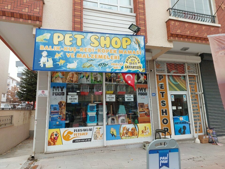 Petshop Pursaklar Petshop, Ankara, foto