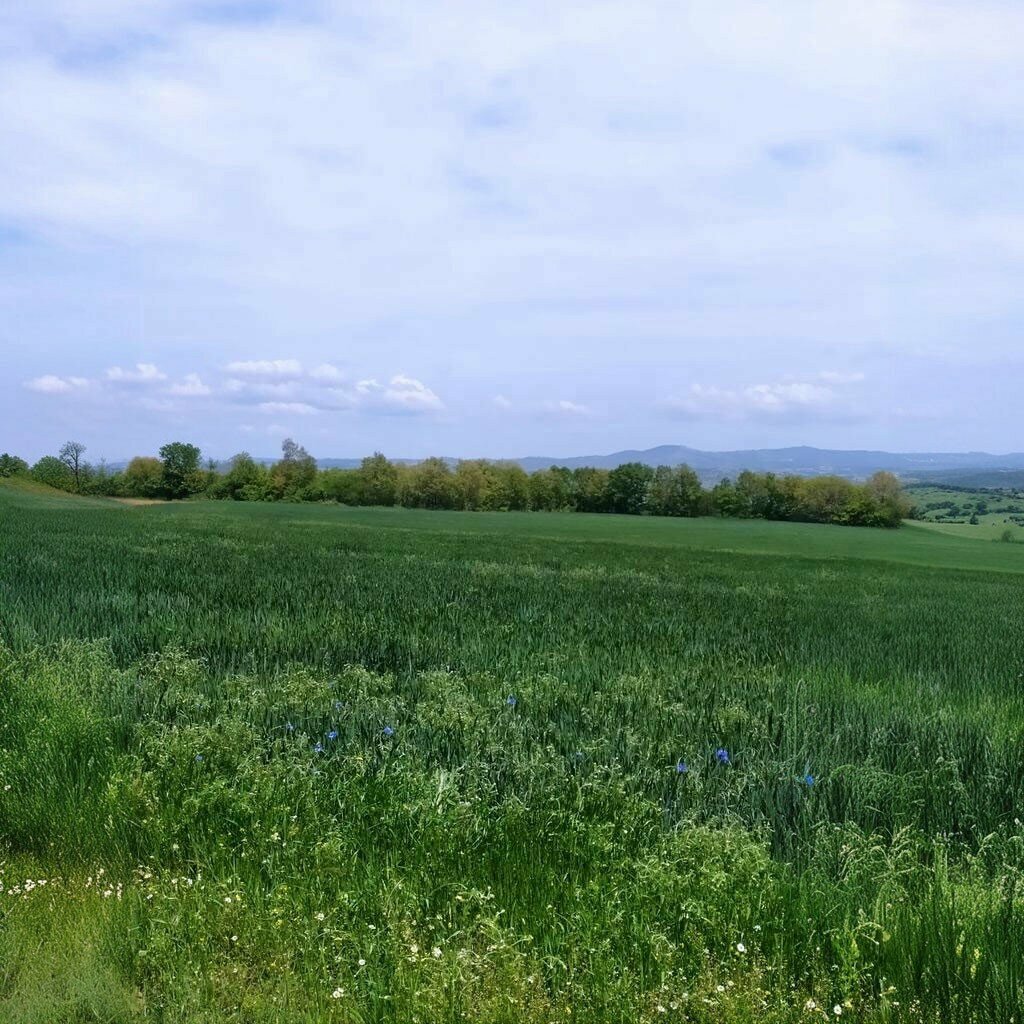 Muhtarlıklar Karahamza Köy Muhtarlığı, Kırklareli, foto