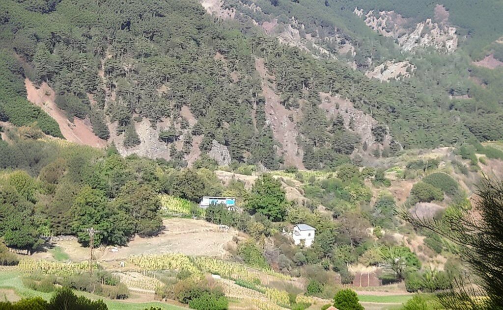 Muhtarlıklar Ilısılık Köy Muhtarlığı, Ilgaz, foto