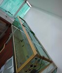 Ares Petshop (Yalova, Çiftlikköy, Sahil Mah., Yalı Cad.), petshop  Çiftlikköy'den