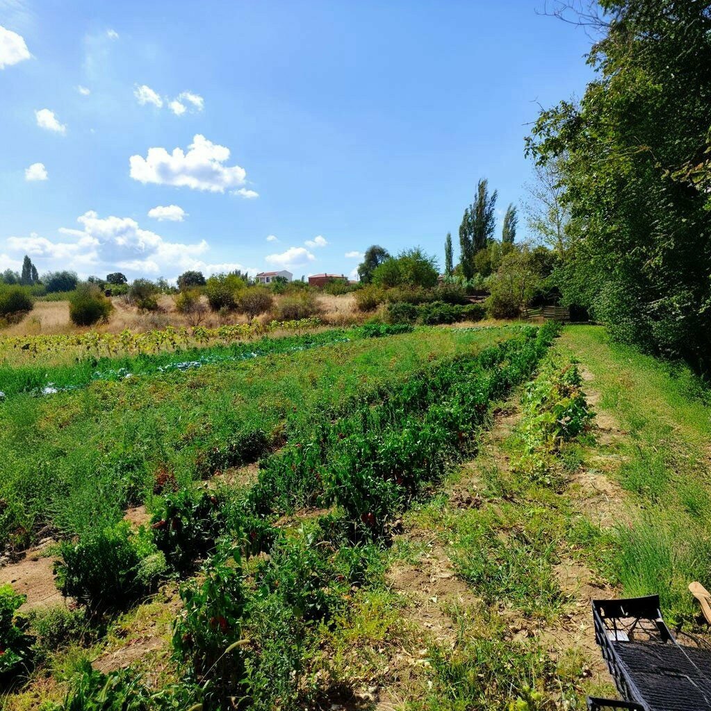 Muhtarlıklar Ağaçköy Köy Muhtarlığı, Bayramiç, foto