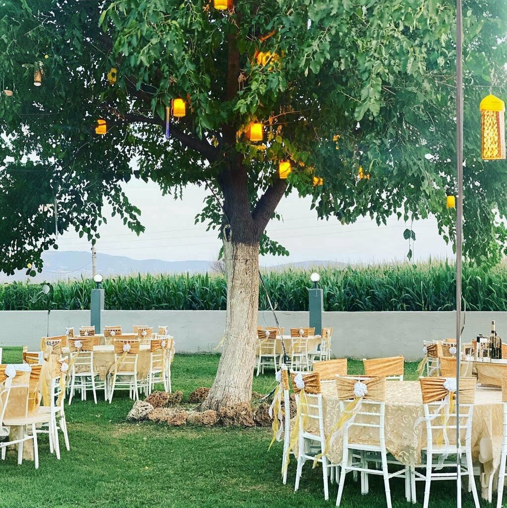 Evlendirme daireleri Ceylan Kır Düğün Salonu, Efeler, foto