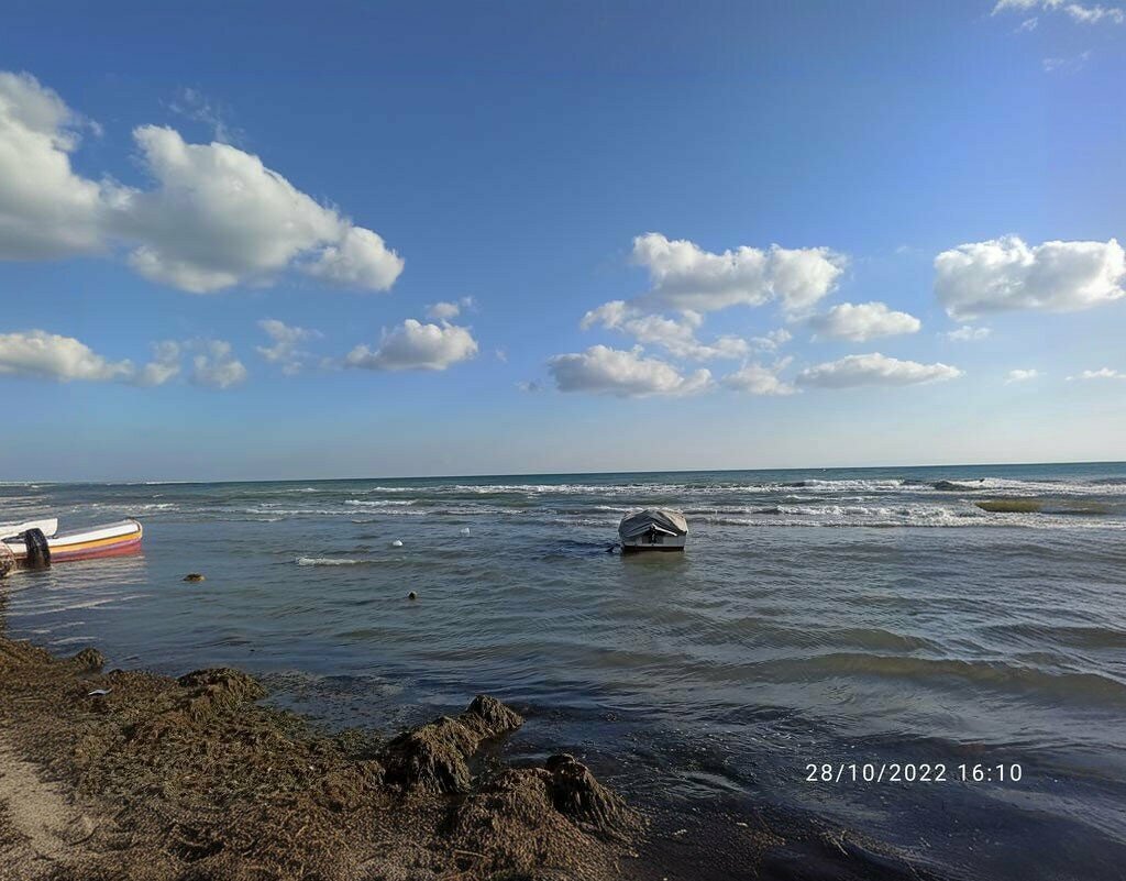 Kamp alanları Kral Camping, Marmara Ereğlisi, foto