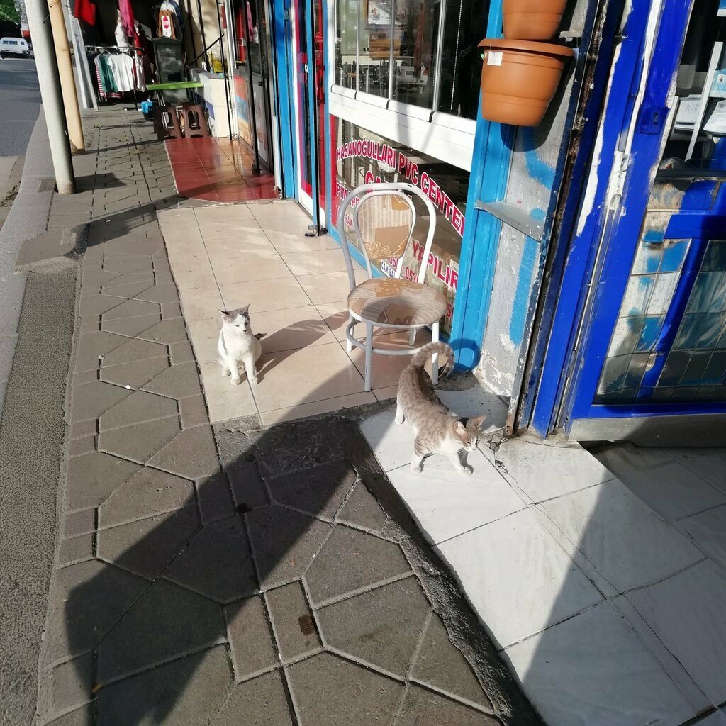 Pazarlar ve çarşılar Dışkapı Pazarı, Ankara, foto