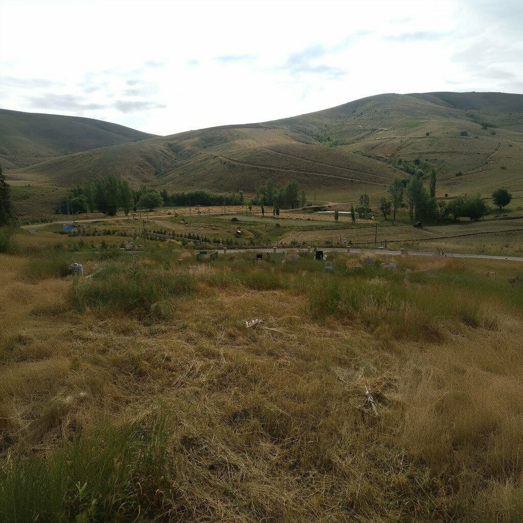 Cami Güllüce Köyü Cami, Bayburt, foto