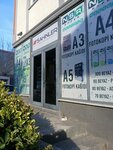 Şahinler Kağıt Ürünleri (İstanbul, Başakşehir, İkitelli OSB Mah., Saraçlar 2. Blok Sok.), matbaalar  İstanbul'dan