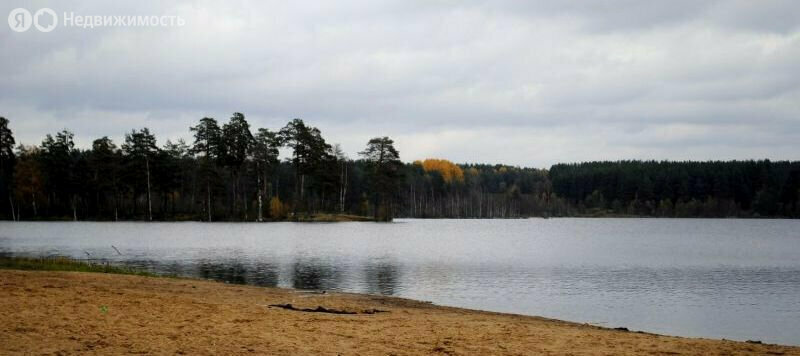 Yazlık yerleşim Стеклянный, Saint‑Petersburg ve Leningradskaya oblastı, foto