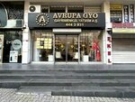 Avrupa Gyo (Nazım Hikmet Blv., No:58/1F, Esenyurt, İstanbul), emlak ofisi  İstanbul'dan