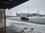 Краковский бульвар (Kaliningrad Region, Guryevskiy munitsipalny okrug, Guryevskoe Highway), toplu taşıma durağı  Guryevsk'ten