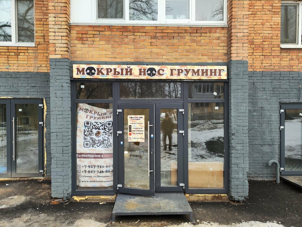 Evcil hayvan kuaförleri Мокрый нос, Samara, foto